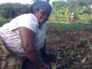 Tanzania: Intercropping and companion planting get results – Adam Bemma